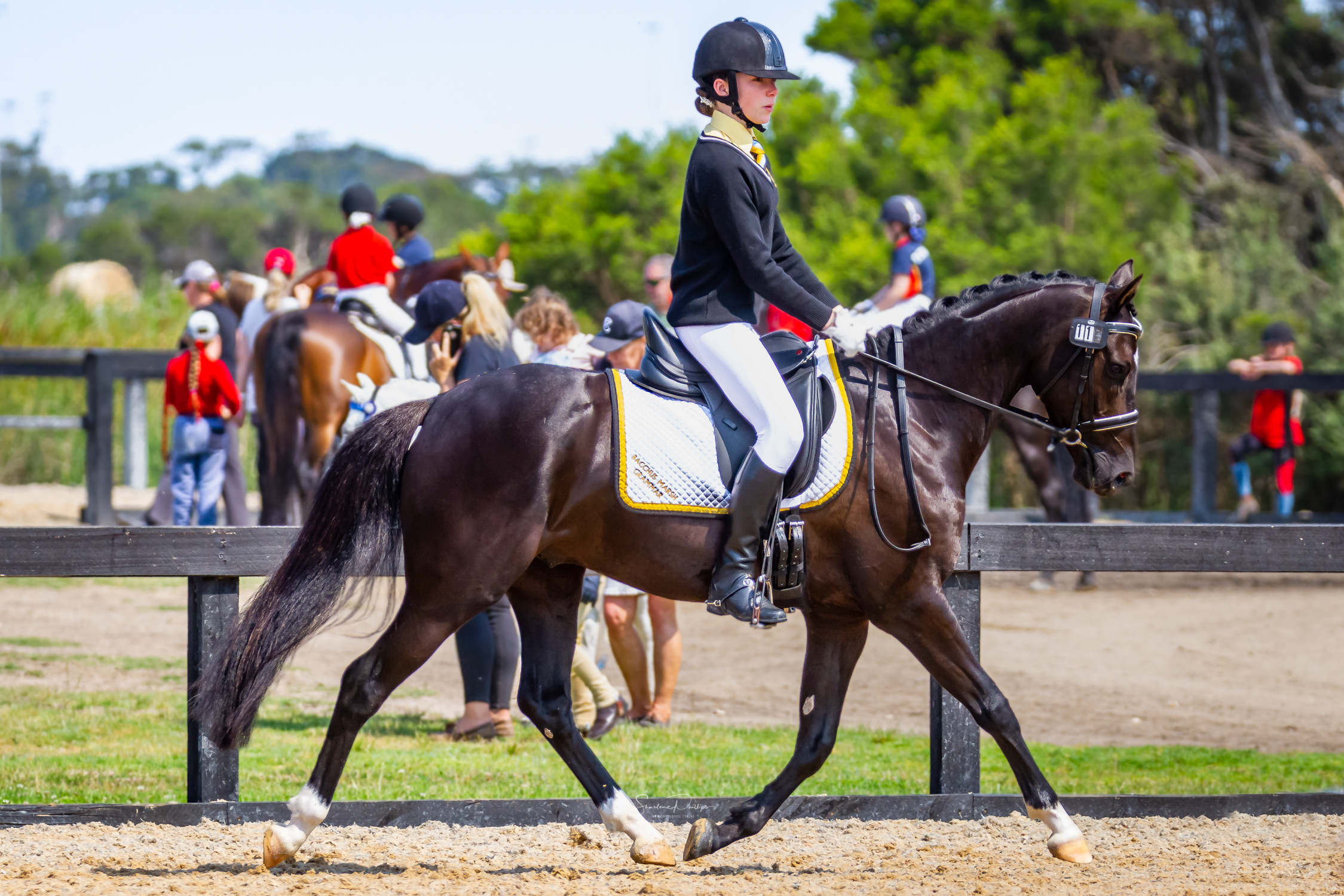 Equestrian Interschool Victoria - a destination for all your equestrian ... Equestrian Interschool Victoria - a destination for all your equestrian ...