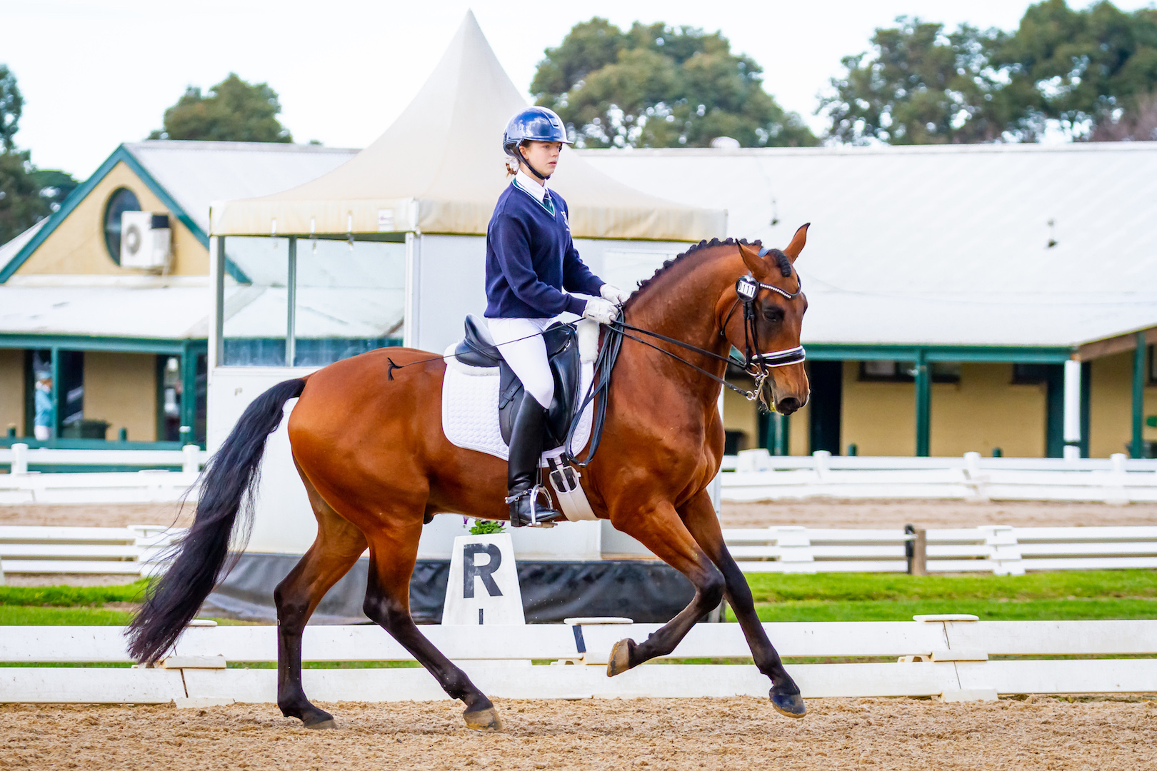 Dressage | Equestrian Interschool Victoria